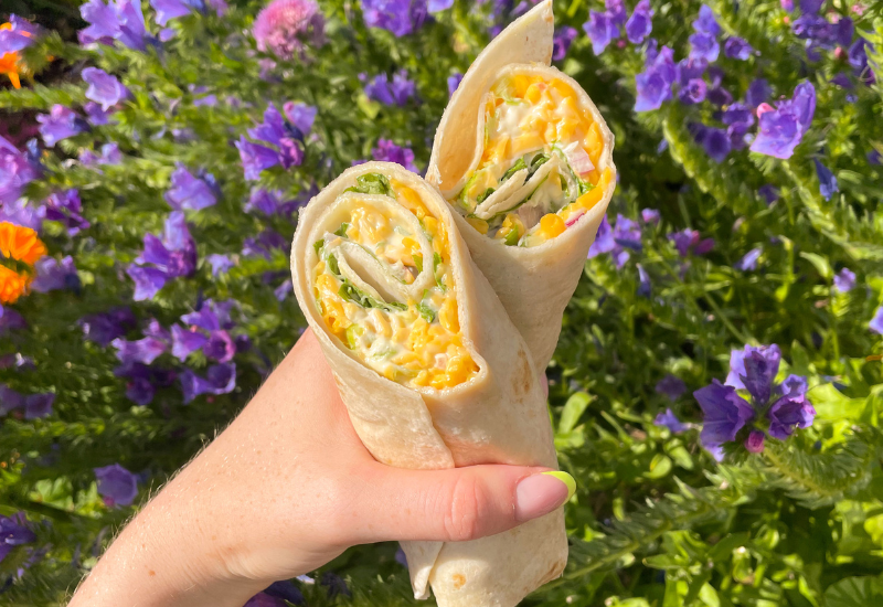 Inverness Botanic Gardens and Café | Visit Inverness Loch Ness